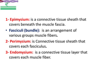 lec2-180702011128 (1).pdf
