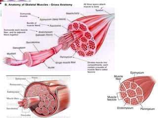 lec2-180702011128 (1).pdf