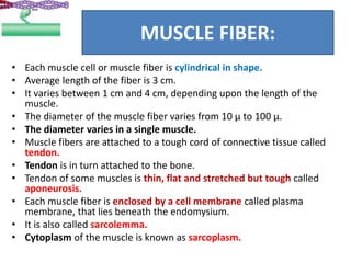 lec2-180702011128 (1).pdf