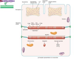 lec2-180702011128 (1).pdf