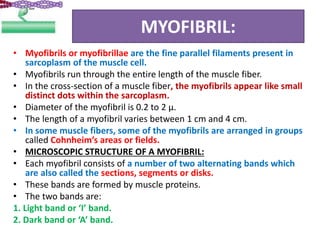 lec2-180702011128 (1).pdf