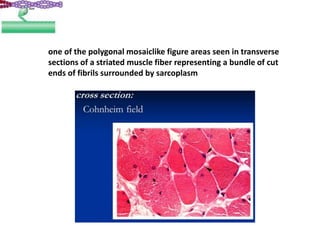 lec2-180702011128 (1).pdf