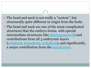 fetal head development(week 12) | PPT
