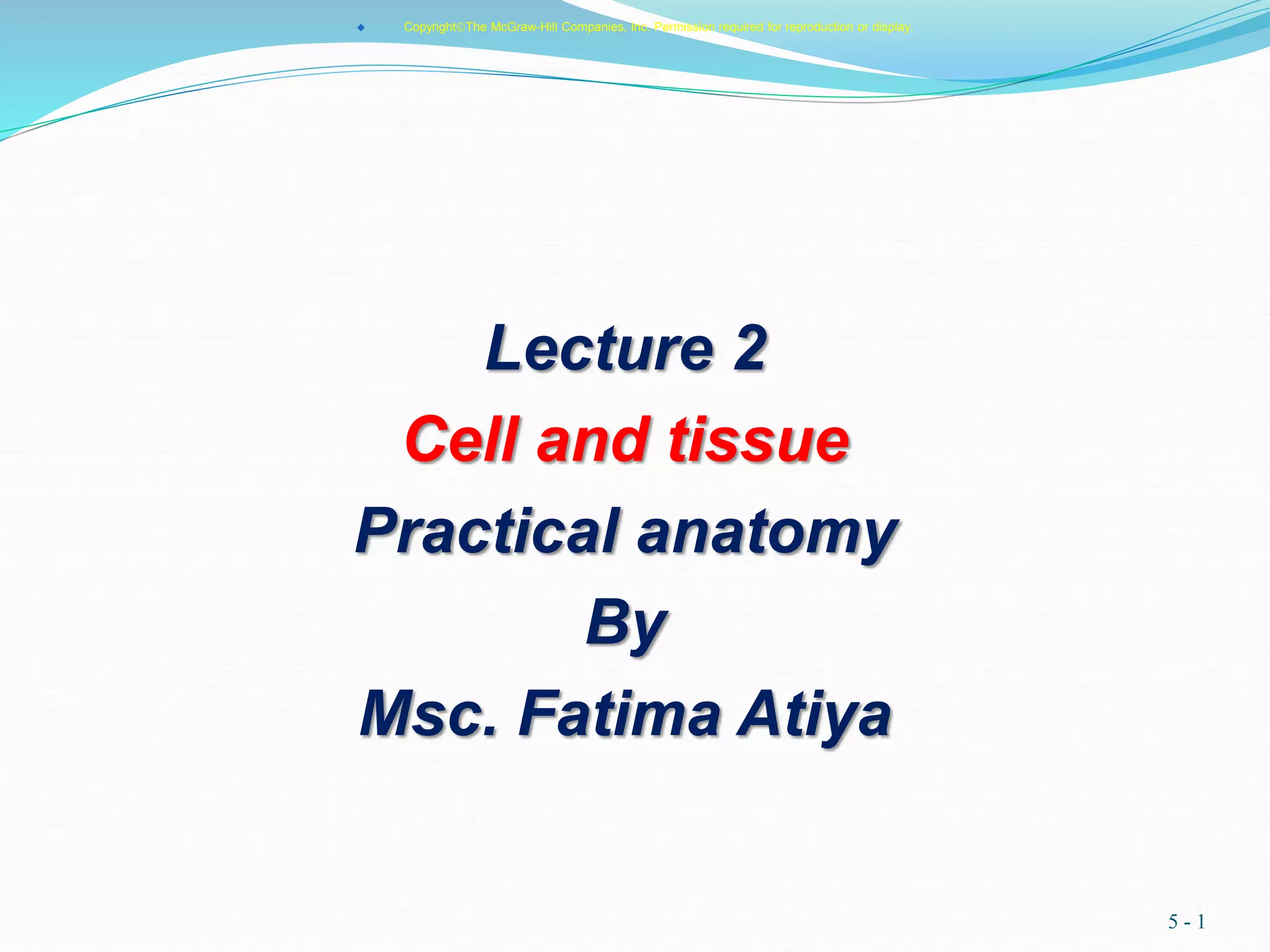 lec 2 تشريح.ppt