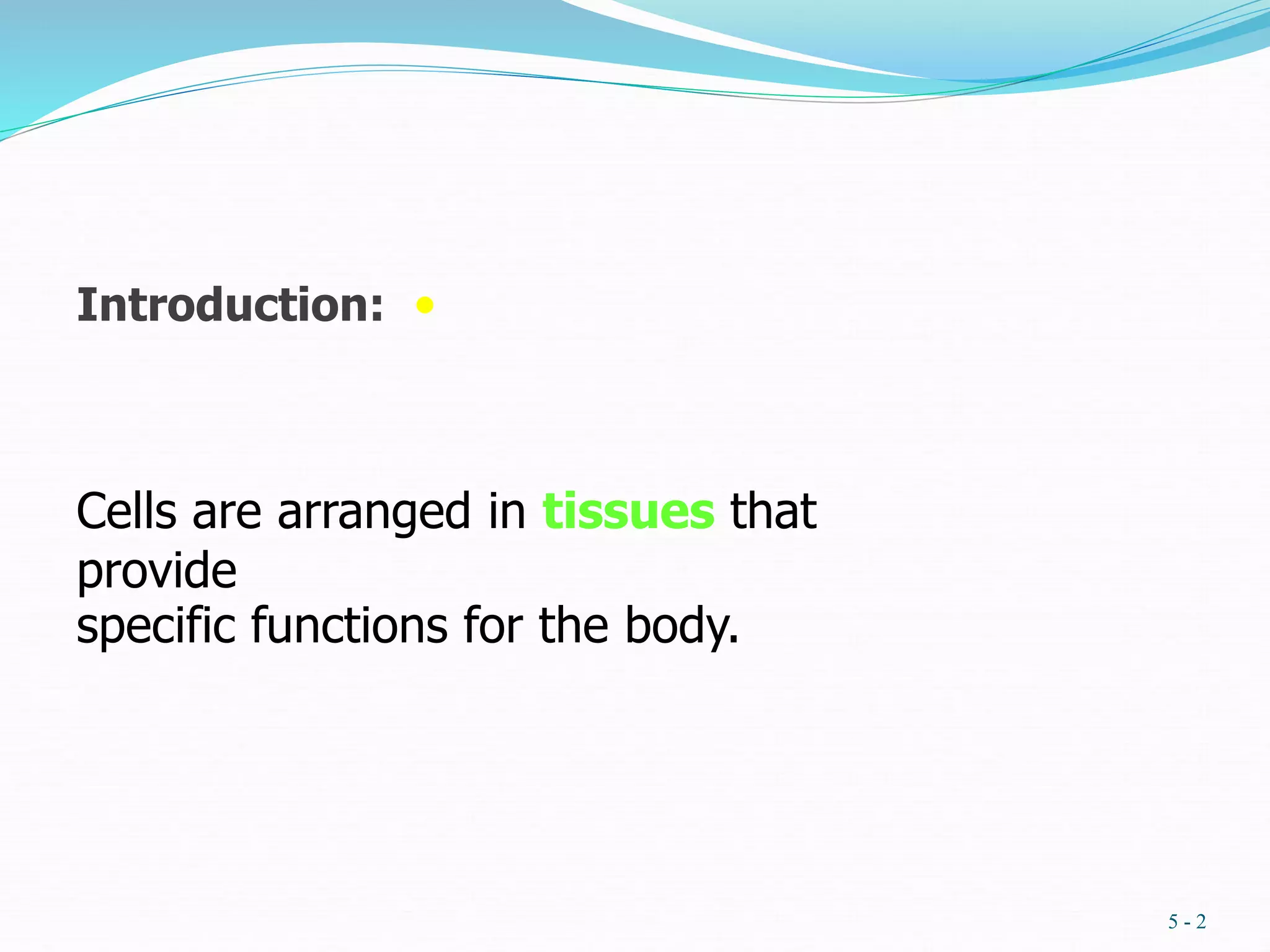 lec 2 تشريح.ppt