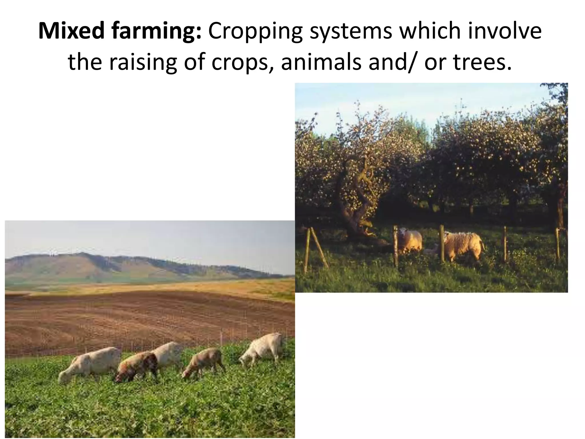 cropping system types | PPTX