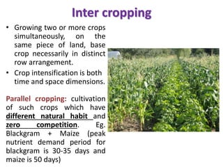 cropping system types | PPTX