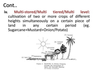 cropping system types | PPTX