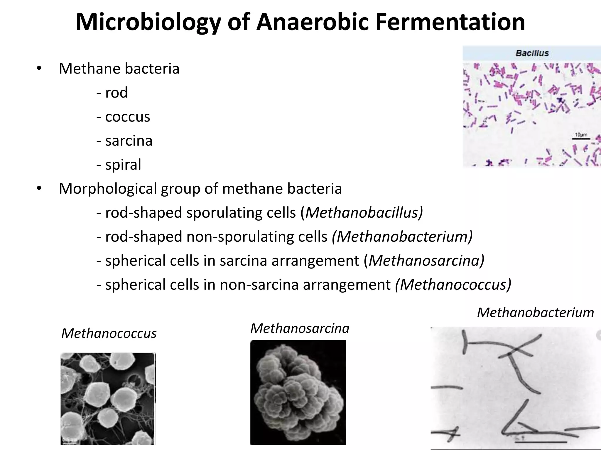Biodegradation and biodegradability of substrate | PPTX