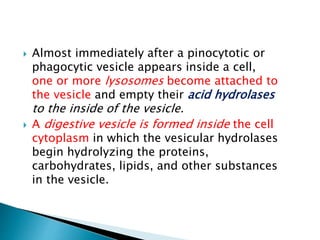 Transports moleculesBSN nursing 1ST prof | PPT