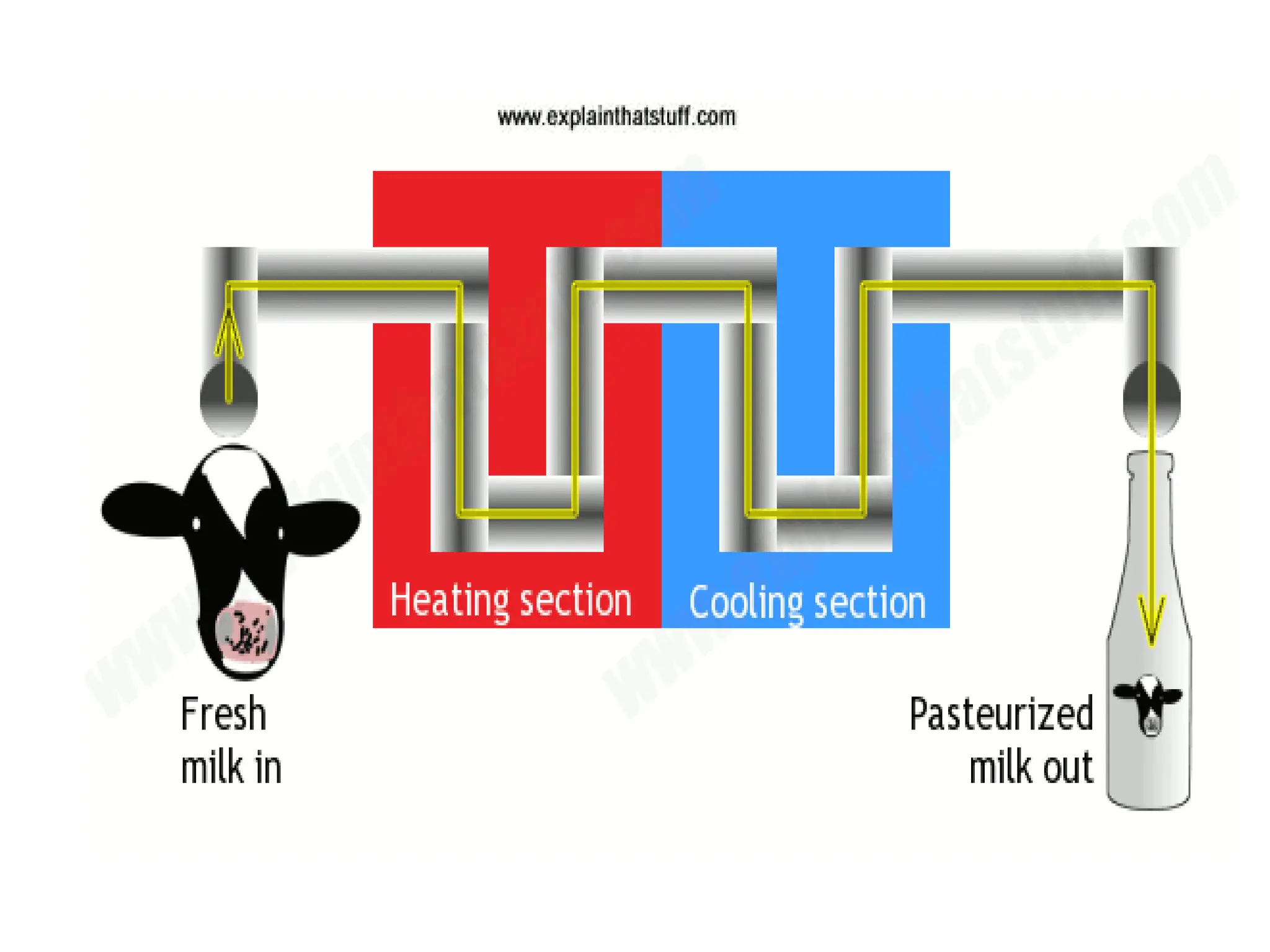 lec 2.pasteurization.pdf pasteurization 1234ion | PPT