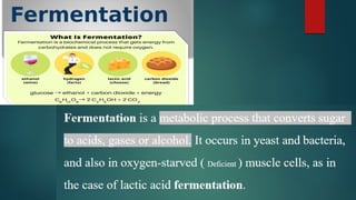 lec2.pdf fermentation in foods , types of fermentation | PDF