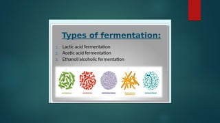 lec2.pdf fermentation in foods , types of fermentation | PDF