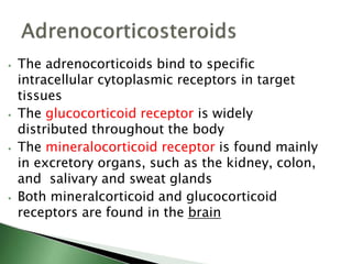 Lec 2 - Adrenal hormones.pptx