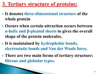 Lec 2 level 3-de(chemistry of proteins) | PDF