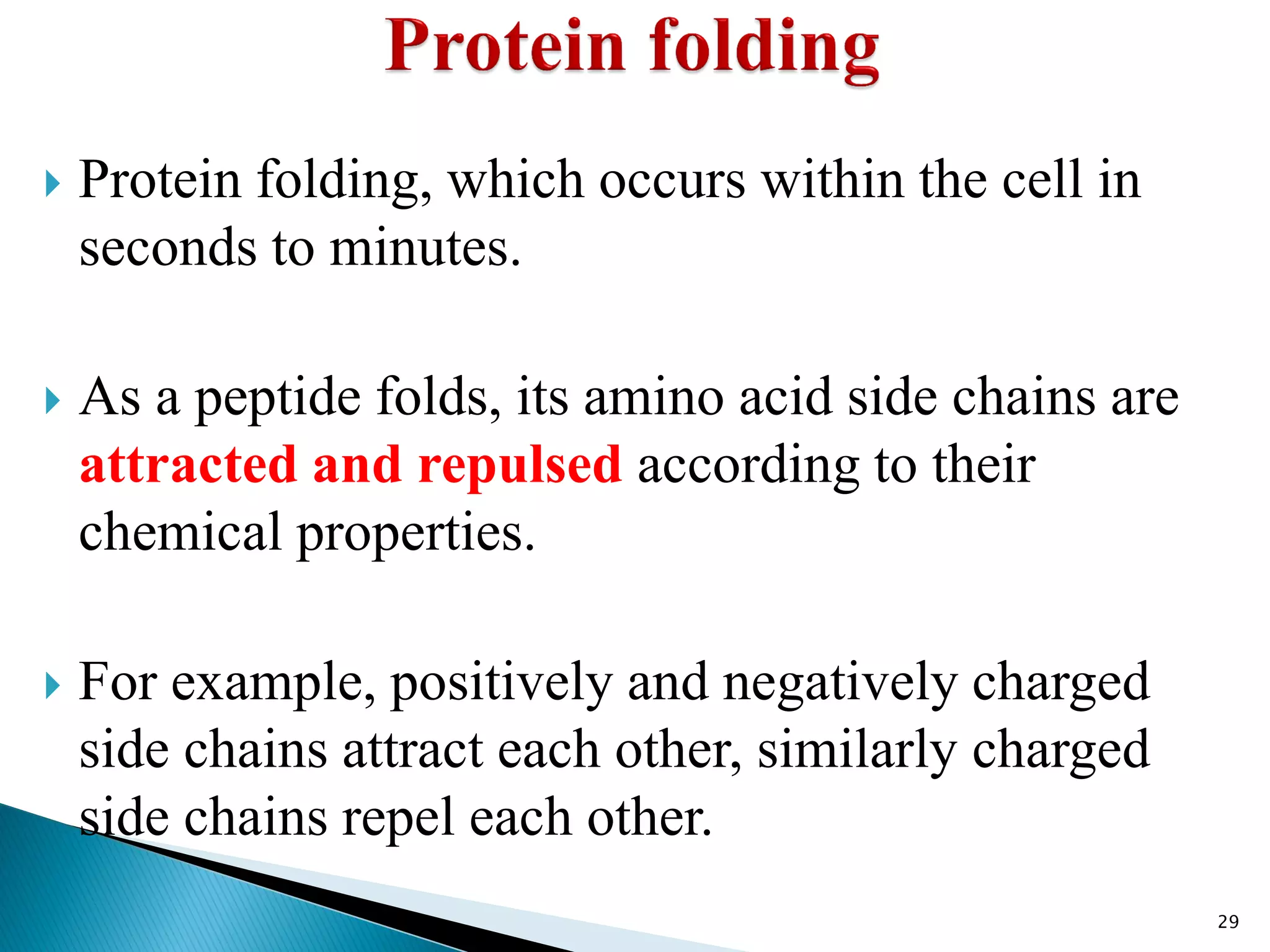 Lec 2 level 3-nu(structure of protein) | PDF