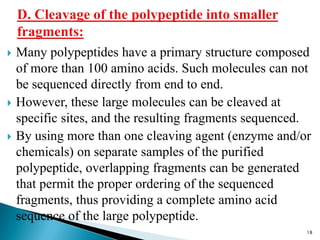 Lec 2 level 3-nu(structure of protein) | PDF