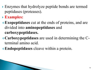Lec 2 level 3-nu(structure of protein) | PPT