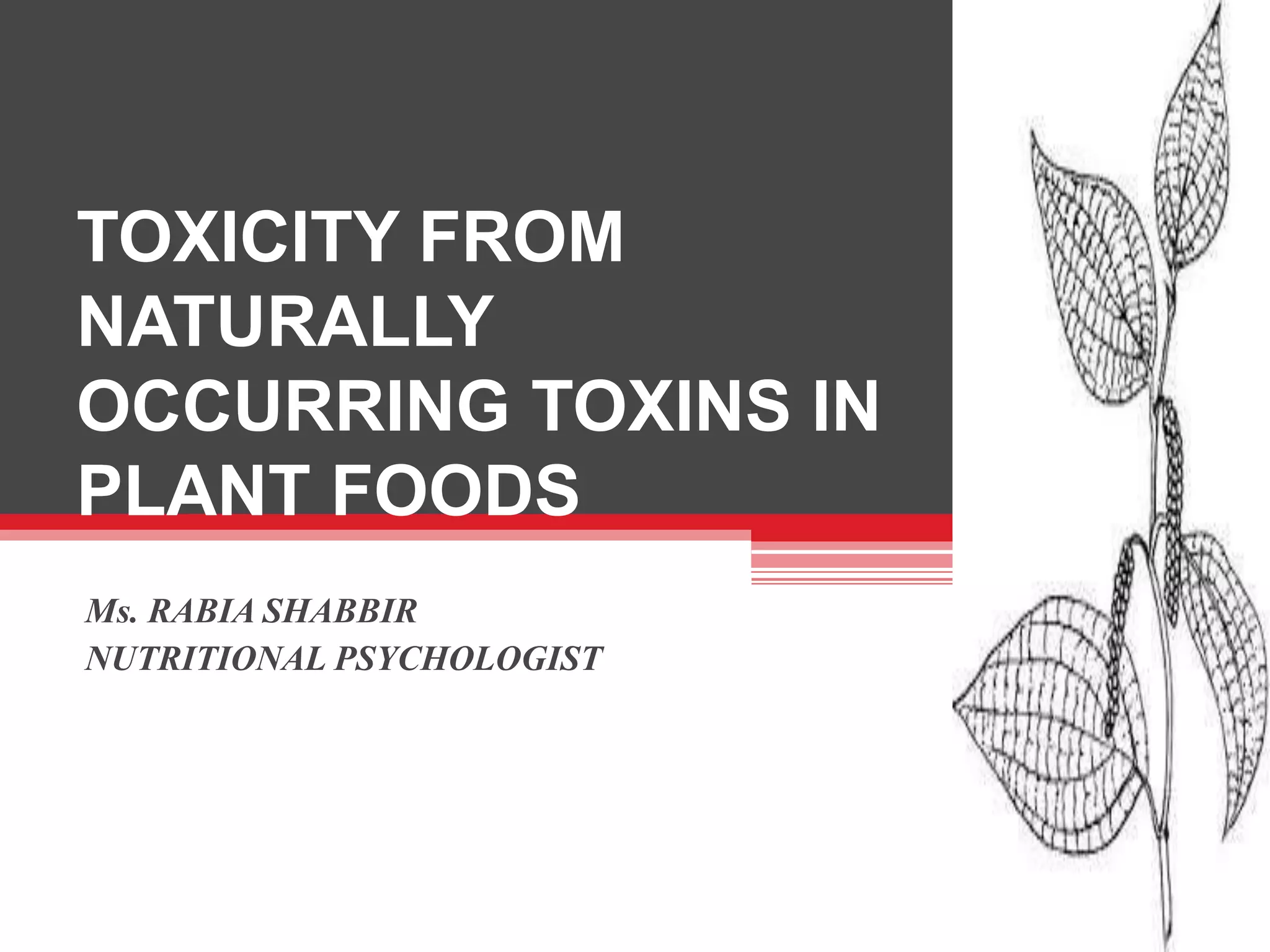 Toxicity from naturally occurring toxins in plant foods | PPTX
