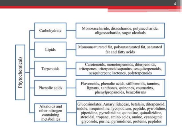 Toxicity from naturally occurring toxins in plant foods | PPTX