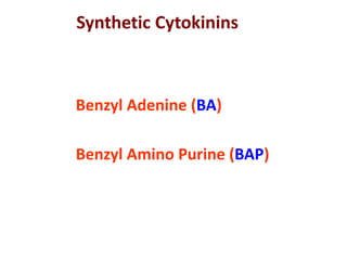 Nutrients and functions cytokinin,ethylene & abscisic acid | PPTX