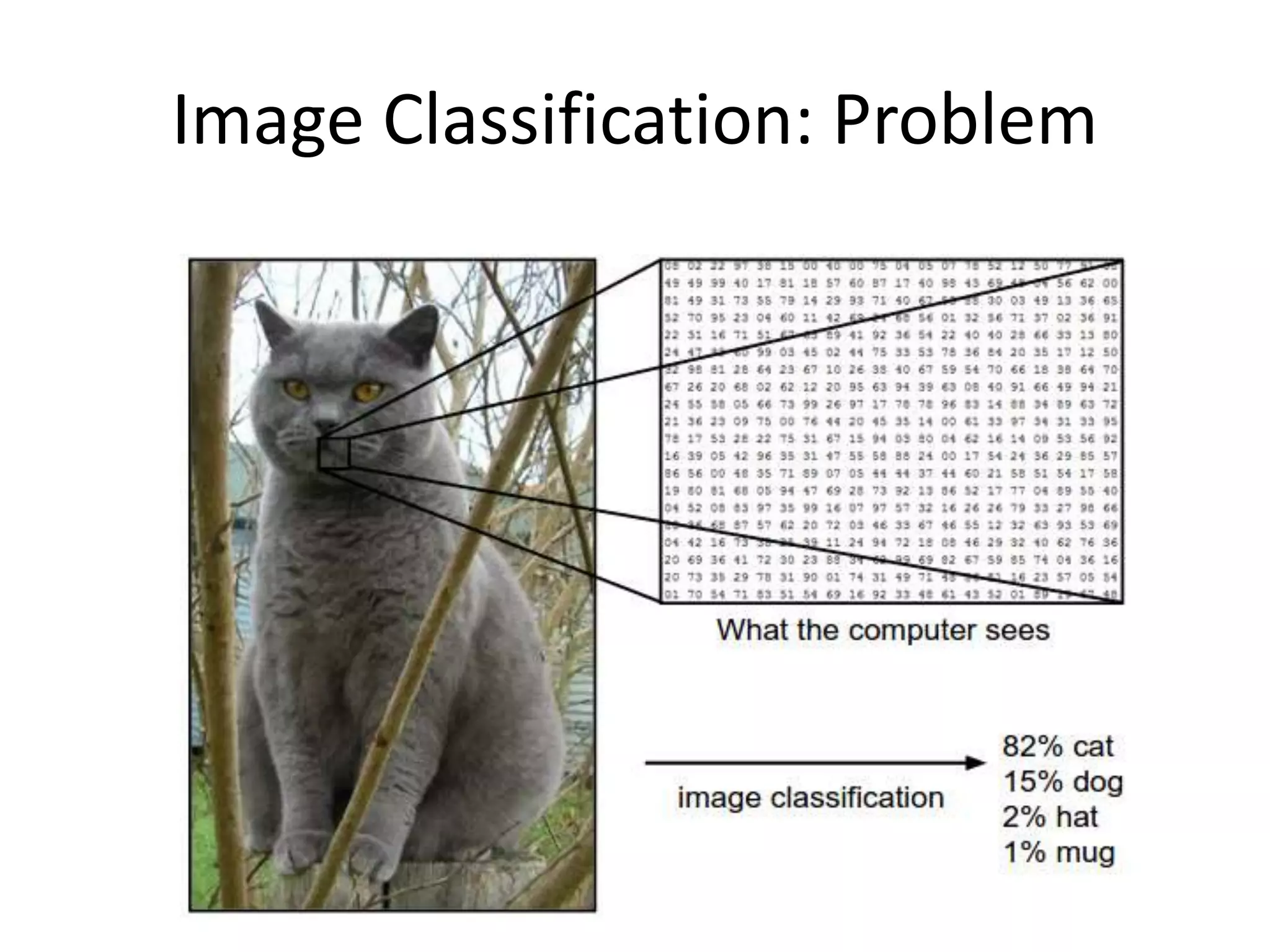 Computer Vision image classification | PPTX