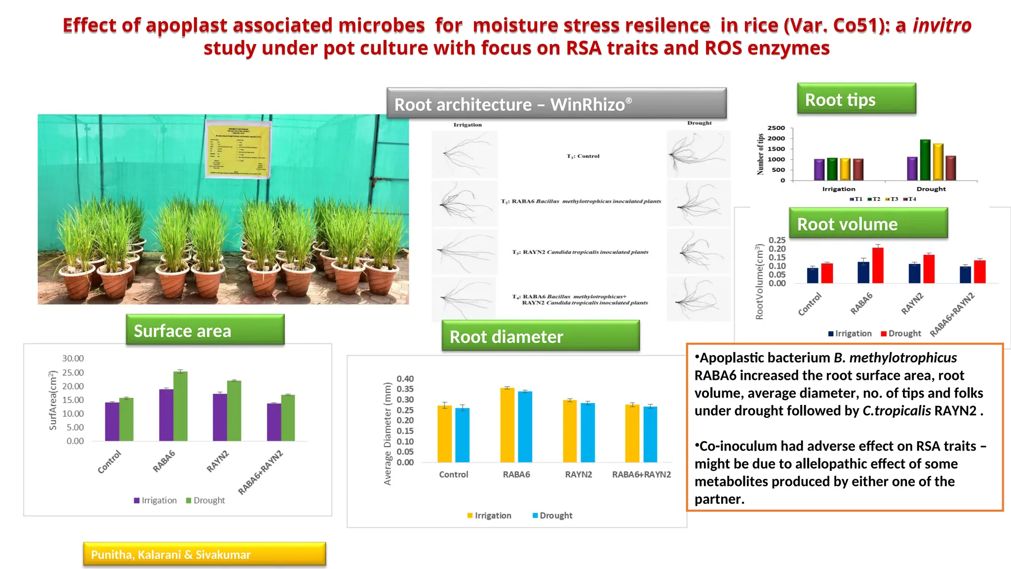 Lecture 20 to 22 Root exudates_Metab.ppt