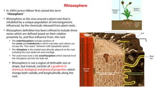 Lecture 20 to 22 Root exudates_Metab.ppt