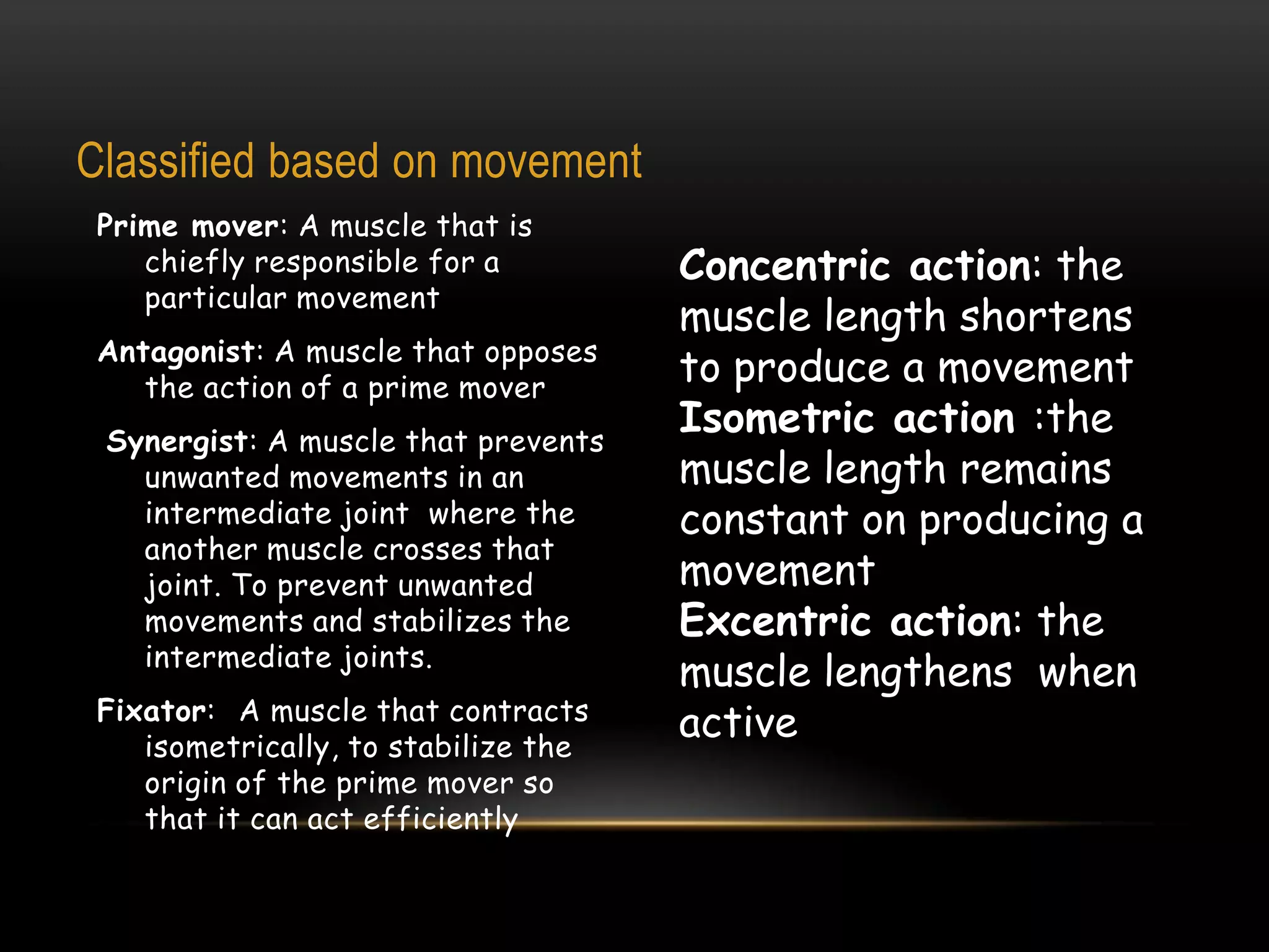 Introduction to Anatomy (Muscular System) | PPTX