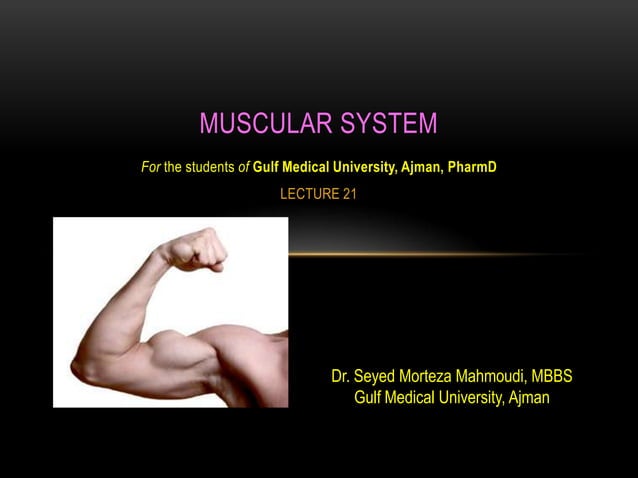 Introduction to Anatomy (Muscular System) | PPTX | Physical Therapy ...
