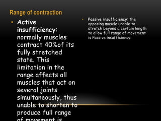 Introduction to Anatomy (Muscular System) | PPTX