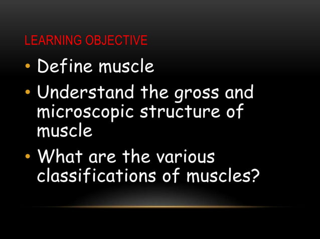 Introduction to Anatomy (Muscular System) | PPTX | Physical Therapy ...