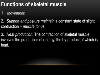 Introduction to Anatomy (Muscular System) | PPTX