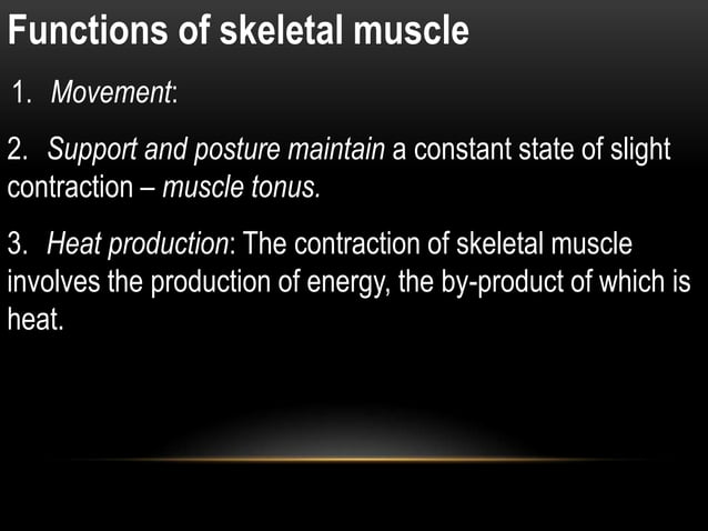 Introduction to Anatomy (Muscular System) | PPTX | Physical Therapy ...