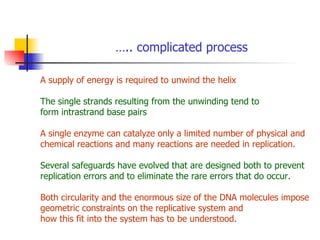DNA replication | PPT