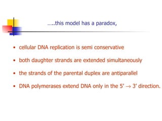 DNA replication | PPT