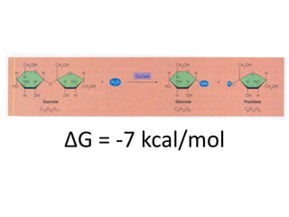 Lec21 Enzymes | PPTX