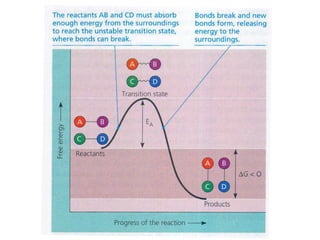 Lec21 Enzymes | PPTX