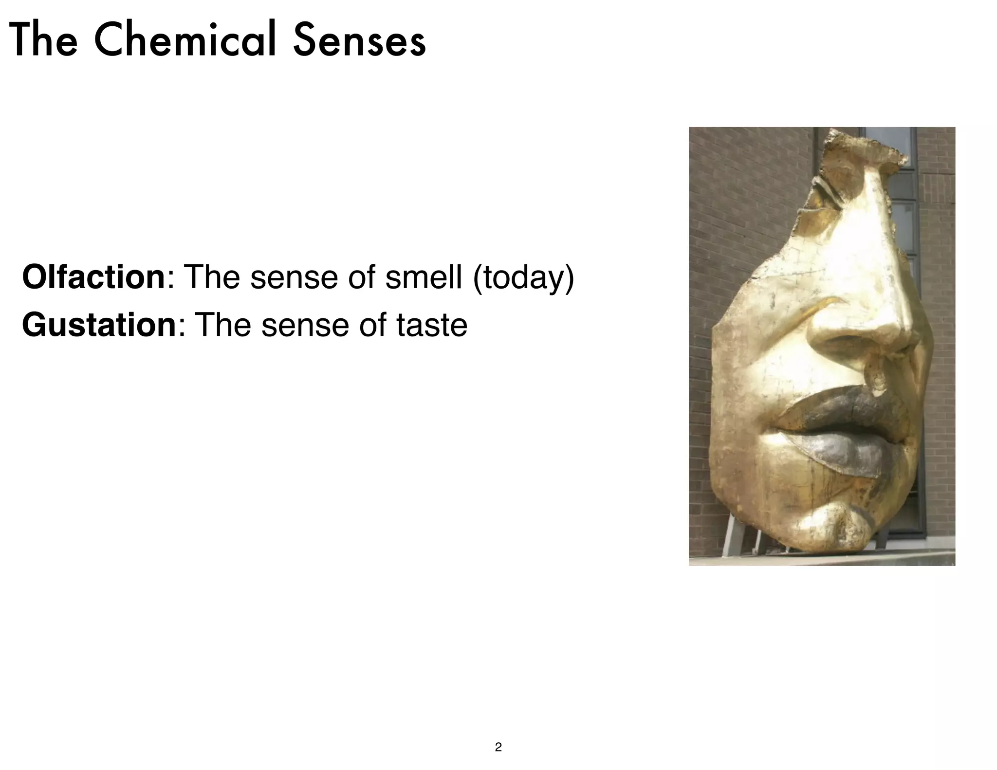 Lec21_Olfaction_Chap14.pdf
