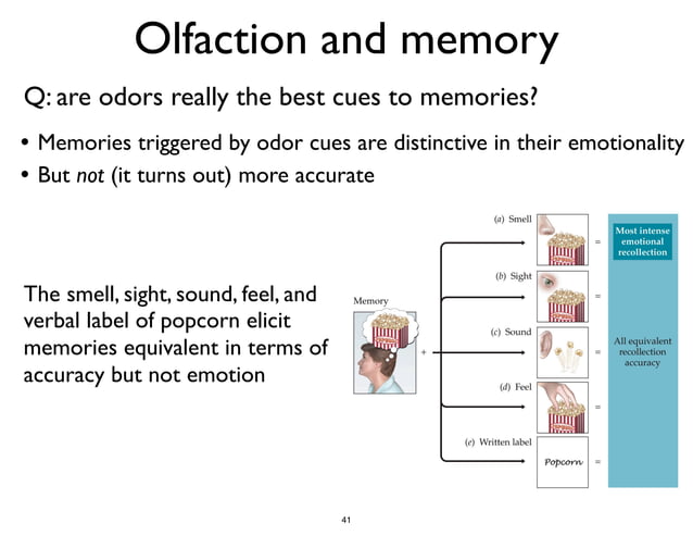 Lec21_Olfaction_Chap14.pdf