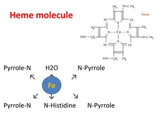 Lec 2,3 level 4-de(heme and hemoglobin) | PDF
