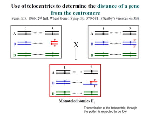 Aneuploid mapping of chromosomes explained | PPT | Infertility ...