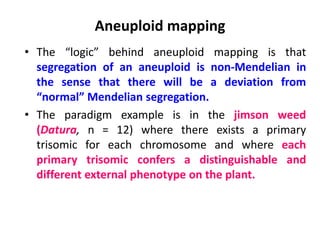 Aneuploid mapping of chromosomes explained | PPT