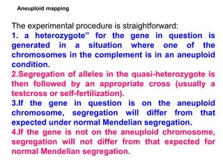 Aneuploid mapping of chromosomes explained | PPT