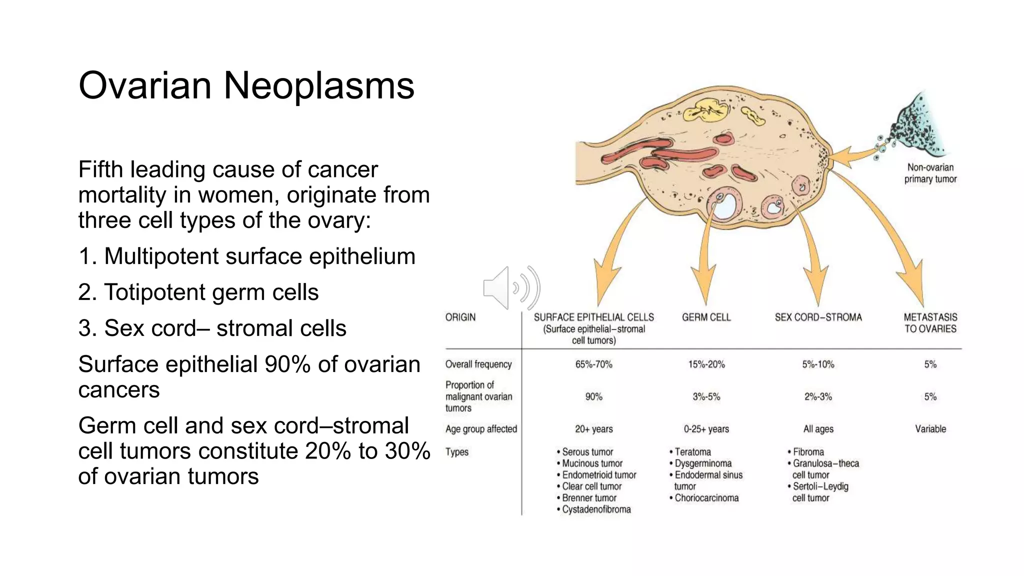 Lec 24 24 female reproductive system pathology | PPTX