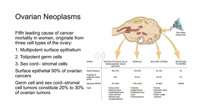Lec 24 24 female reproductive system pathology | PPTX