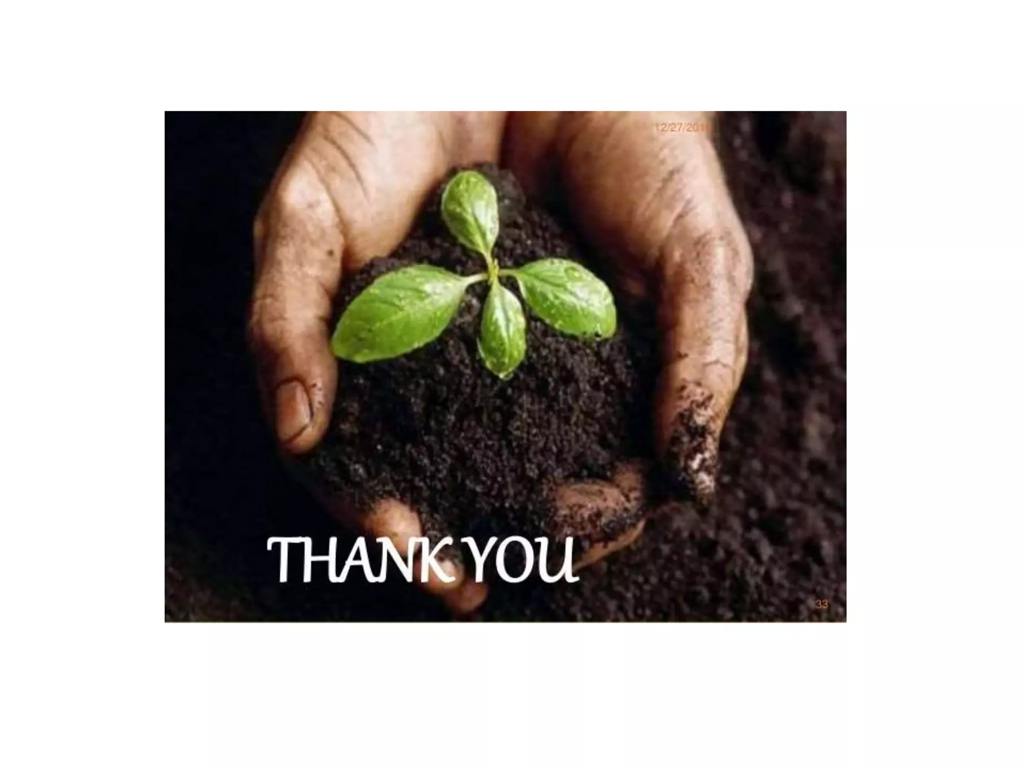 FERTILITY RESTORATION IN MALE STERILE LINES AND RESTORER ...