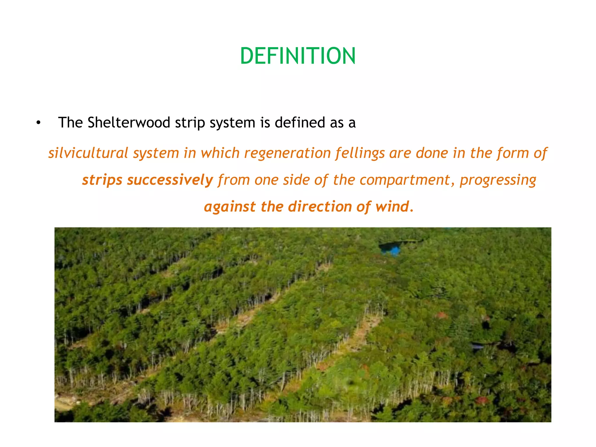 Lec 24 – SHELTERWOOD STRIP SYSTEM.pptx