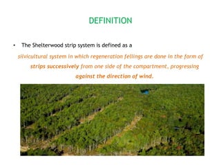 Lec 24 – SHELTERWOOD STRIP SYSTEM.pptx
