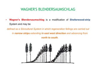 Lec 24 – SHELTERWOOD STRIP SYSTEM.pptx